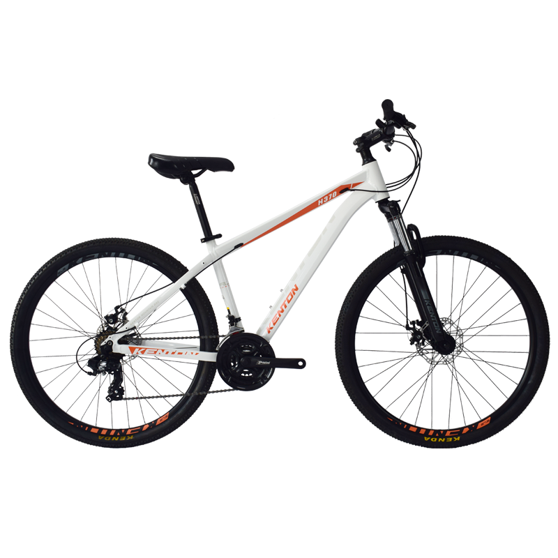 红旗系列-山东肯通自行车有限公司